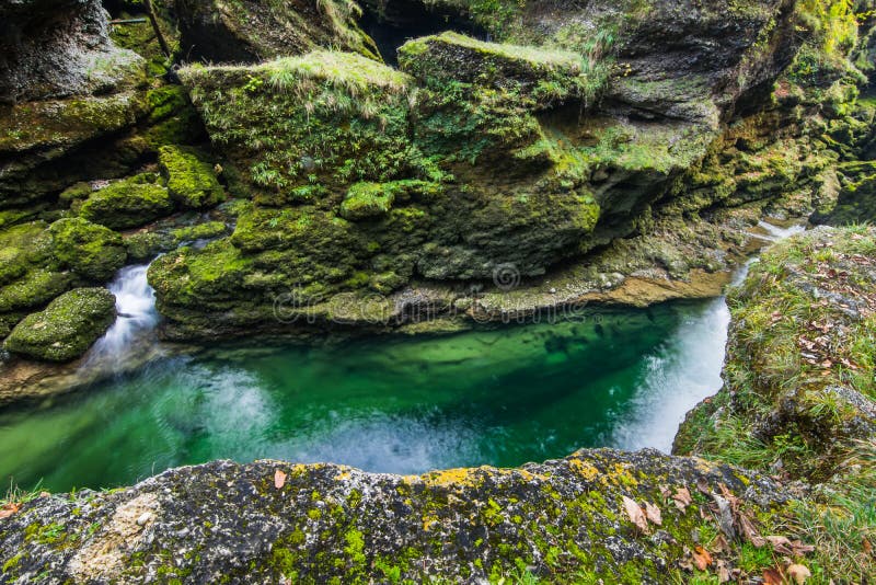 Basin with Clear Green Water with Rocks and Plants Stock Photo - Image ...