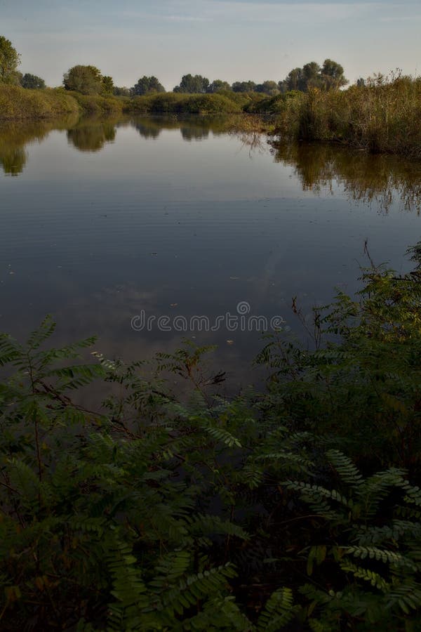 Basin in a Peat Bog in the Morning in Autumn Stock Photo - Image of ...