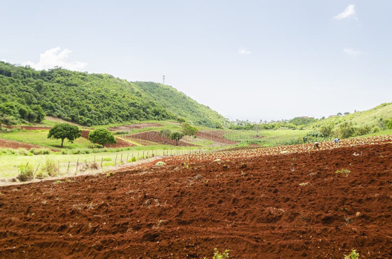 Ploughed Slope Stock Photos - Free & Royalty-Free Stock Photos from ...