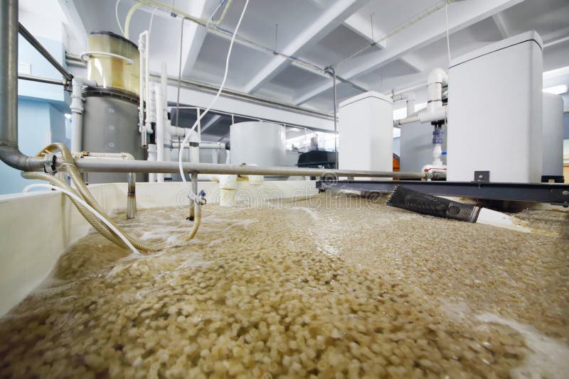 Basin for Water Air Enrichment in Empty Workshop Stock Image - Image of ...