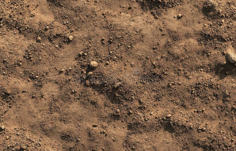 On the Basis of a Small Square of Plaster, Brown Decorative Plaster is ...