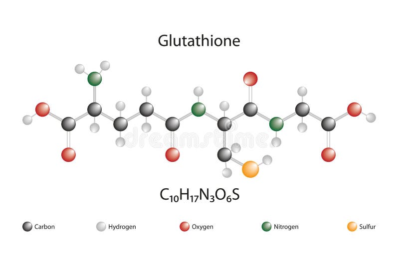 Molecular Structure and Chemical Formula of Glutathione Stock Vector ...