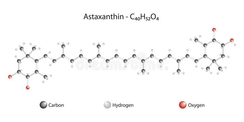 Molecular Formula and Chemical Structure of Astaxanthin Stock Vector ...