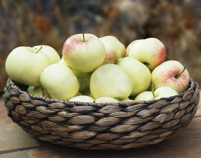 Basket with Apollo apples stock photo. Image of divine - 234732174