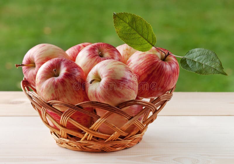 Basket with apples stock photo. Image of full, garden - 15720588