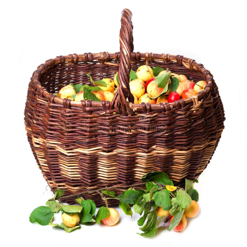 Basket with apples stock image. Image of horizontal, fruit - 27058235