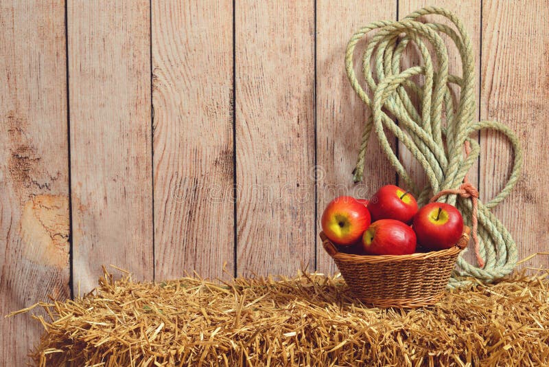 Basket of Apples on Hay Bale Stock Image - Image of harvest, green ...