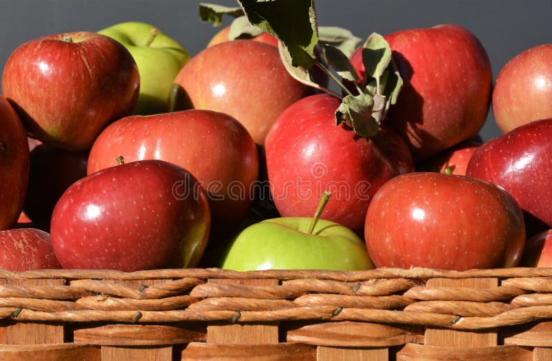Basket of Apples stock image. Image of harvest, basket - 83665247