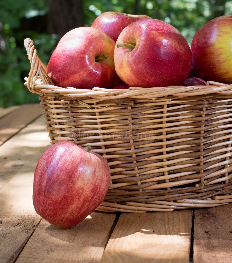 Basket of Apples and Oranges Stock Image - Image of citrus, snack: 12772317