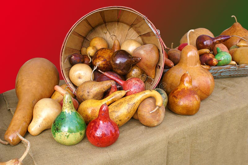 Assorted Gourds stock image. Image of autumn, season - 21255903