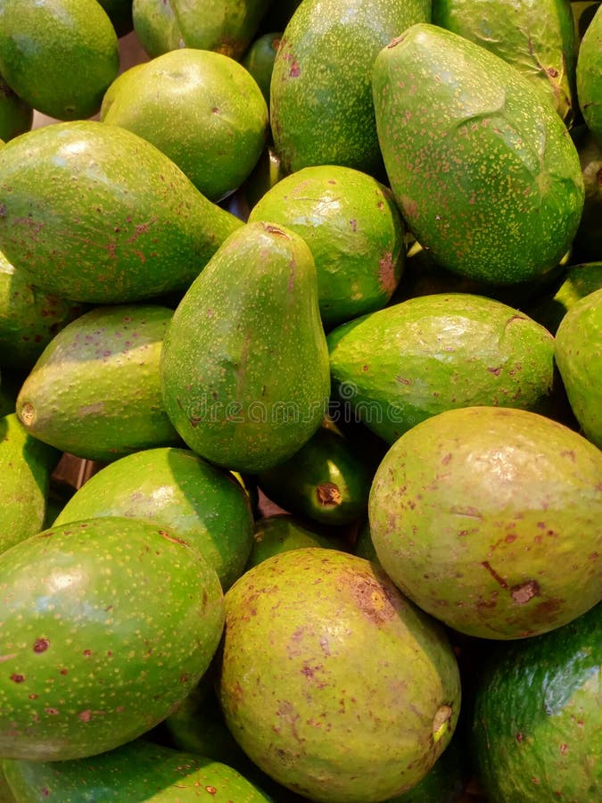 A basket of avocado stock image. Image of avocado, dessert - 254683621