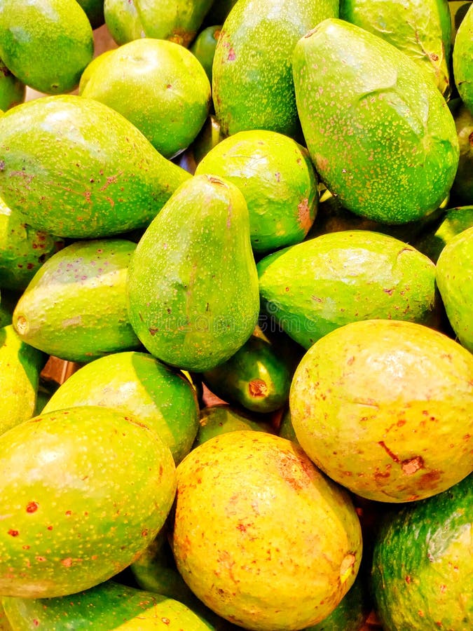 A Basket from Avocado with Fresh Fruit Stock Photo - Image of berry ...