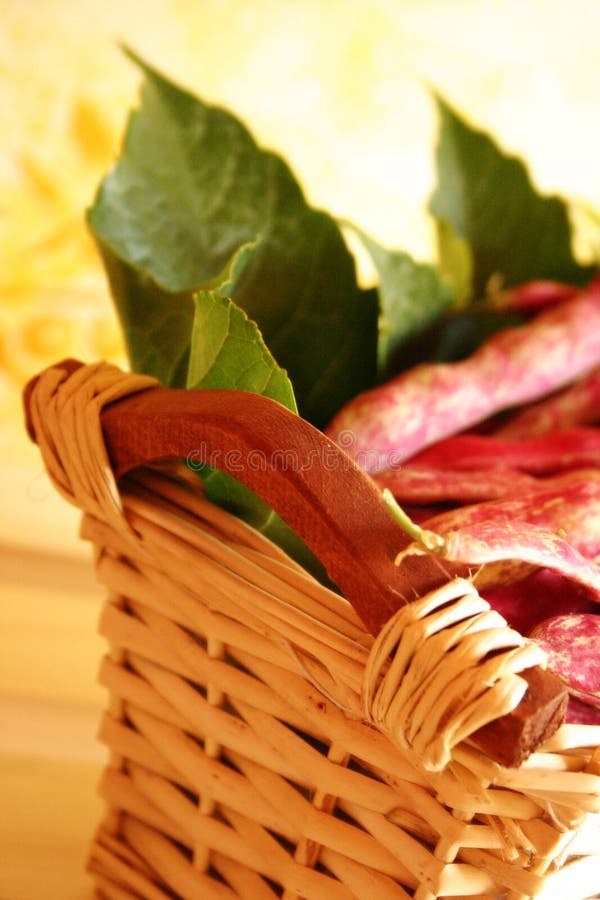 Basket of beans stock photo. Image of food, ingredients - 1655282