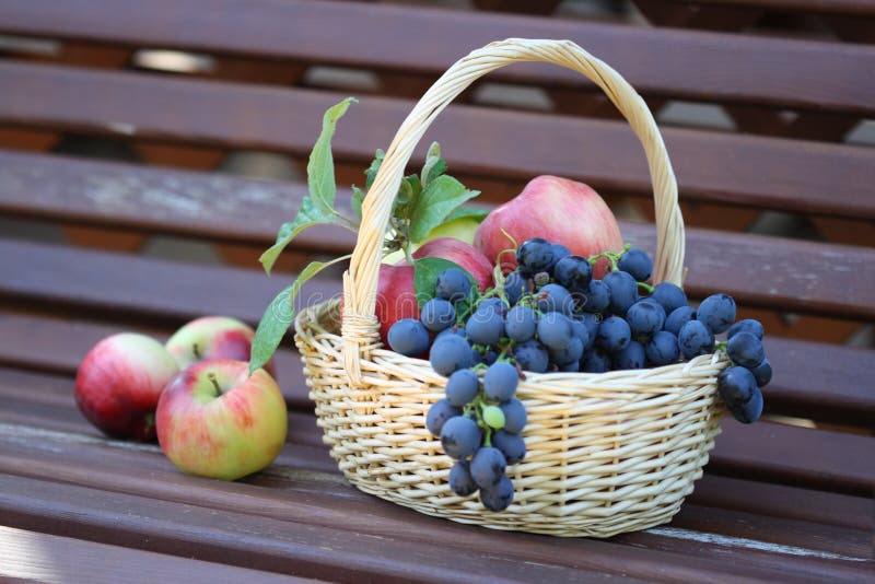 Basket on the bench stock image. Image of basket, fallen - 12154399