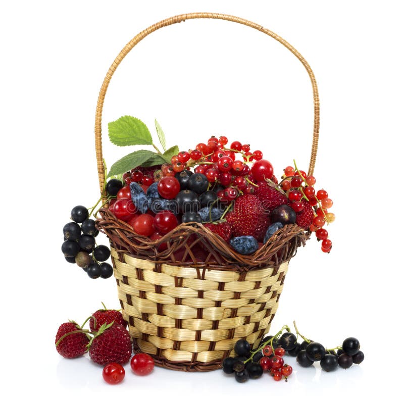 Basket with berries 2 stock image. Image of natural, pile - 42519199
