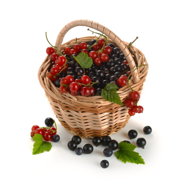 Basket of berries stock photo. Image of background, ripe - 33537300