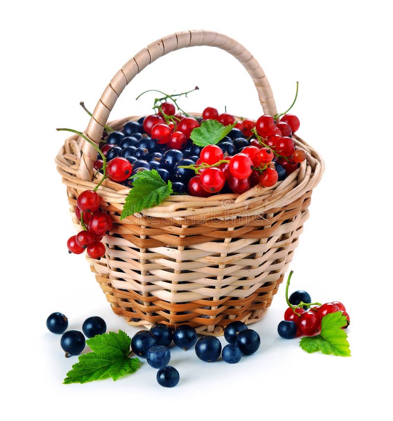 Basket of berries stock photo. Image of garden, freshness - 35255108