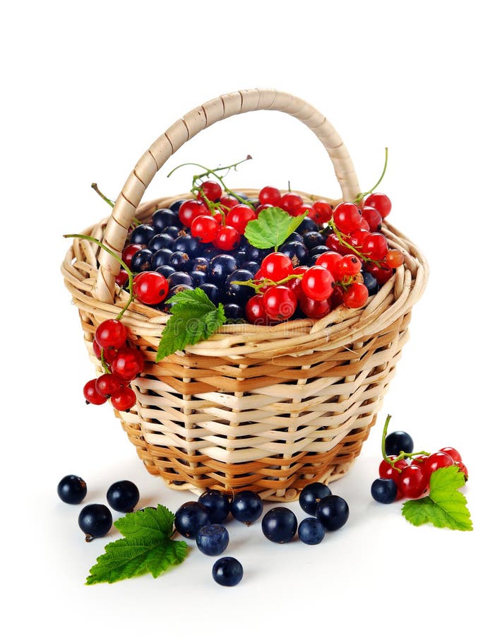 Basket of berries stock photo. Image of garden, freshness - 35255108