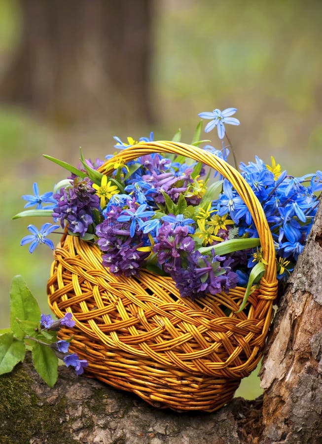 Basket bouquet stock photo. Image of floral, beauty, leaf - 20665148