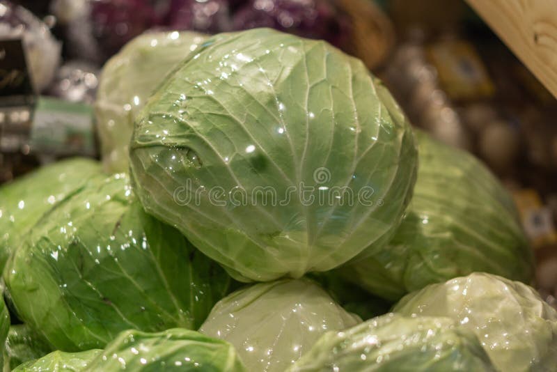 Basket with Cabbage Heads Wrapped in Plastic in Shop Stock Photo ...