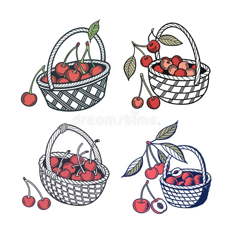 Basket of Cherries: Hand Drawn Vector Illustration Stock Vector ...