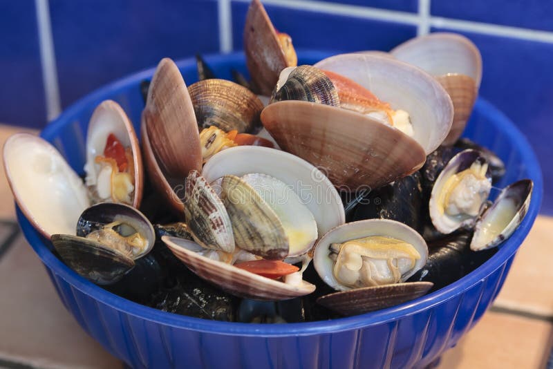 Basket of clams stock image. Image of marine, animal - 15893741