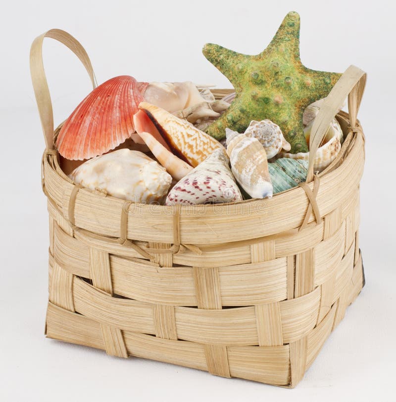 Basket with Colorful Shells on Gray Stock Image - Image of nature ...