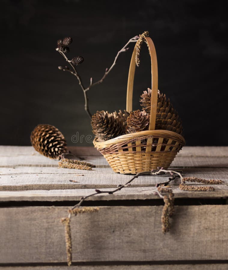 Basket of cones stock image. Image of handle, still, sony - 92092325