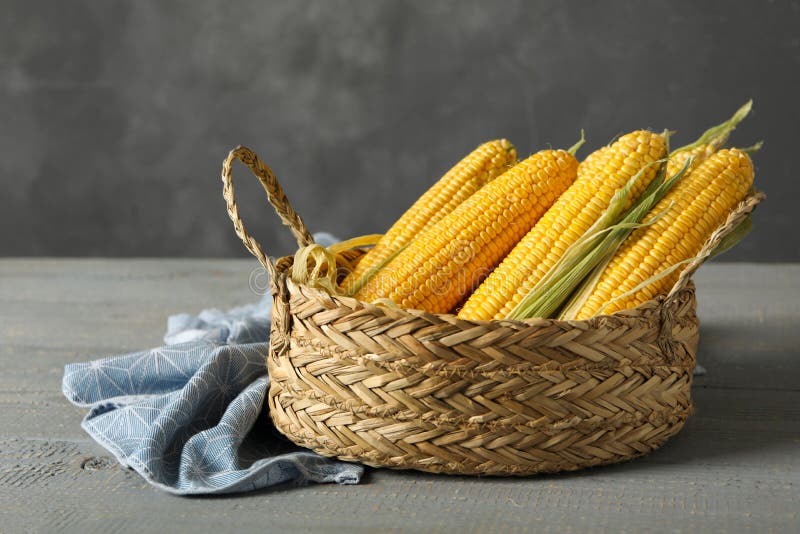 Basket with cobs of corn stock image. Image of pumpkin - 126471815