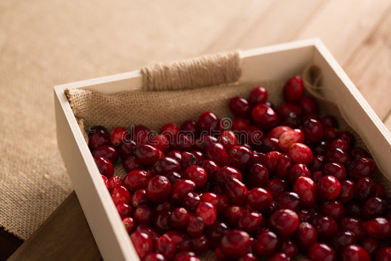Basket of Cranberries stock image. Image of group, brown - 88515755