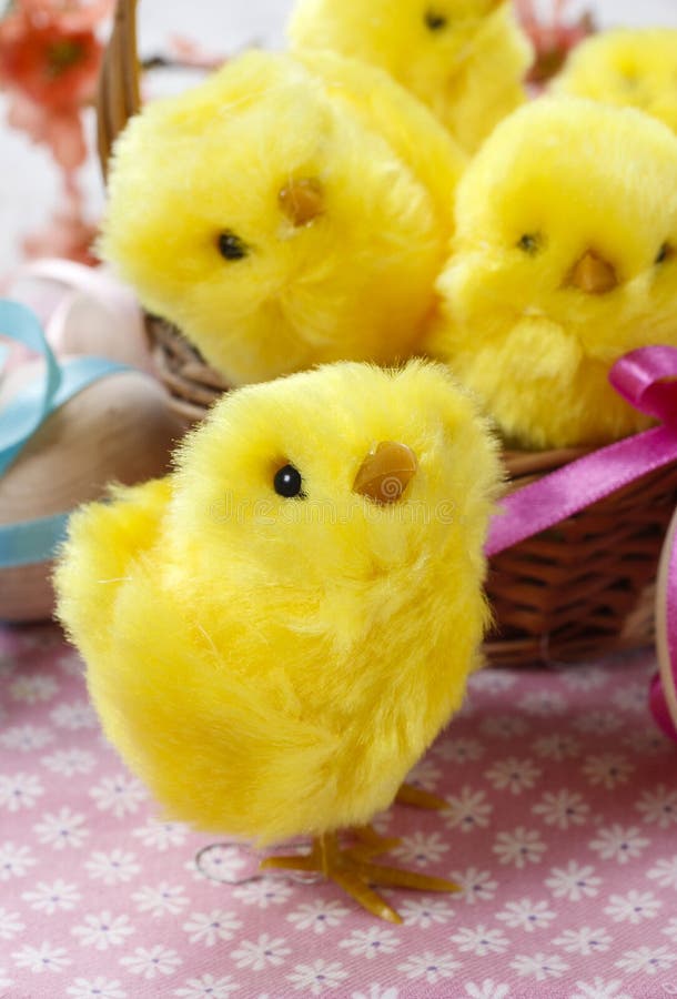 Basket of Cute Easter Chickens Stock Photo - Image of hairy, easter ...
