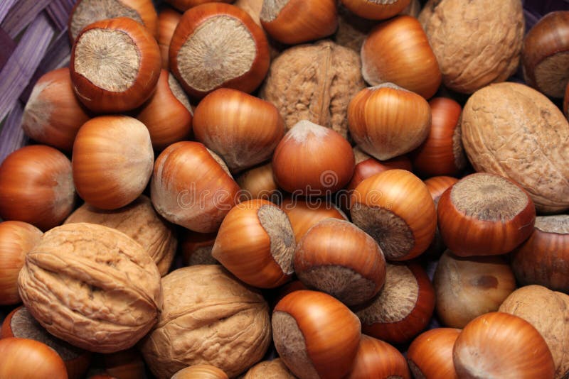 In the Basket of Different Types of Nuts in-shell Hazelnuts and Walnuts ...