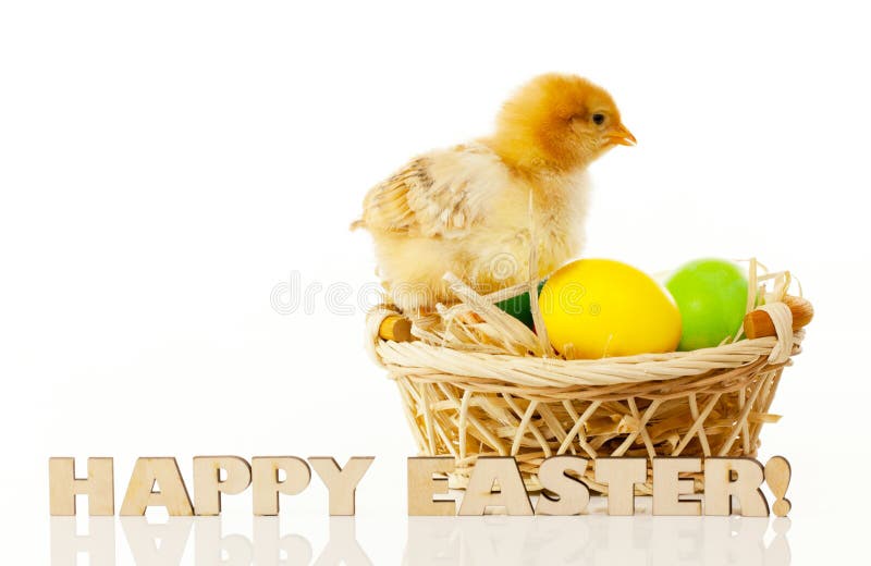 Basket with the Easter Eggs and Small Chicken Stock Photo - Image of ...