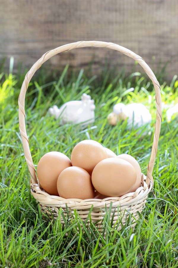 Basket of eggs on grass stock photo. Image of ingredient - 39882596