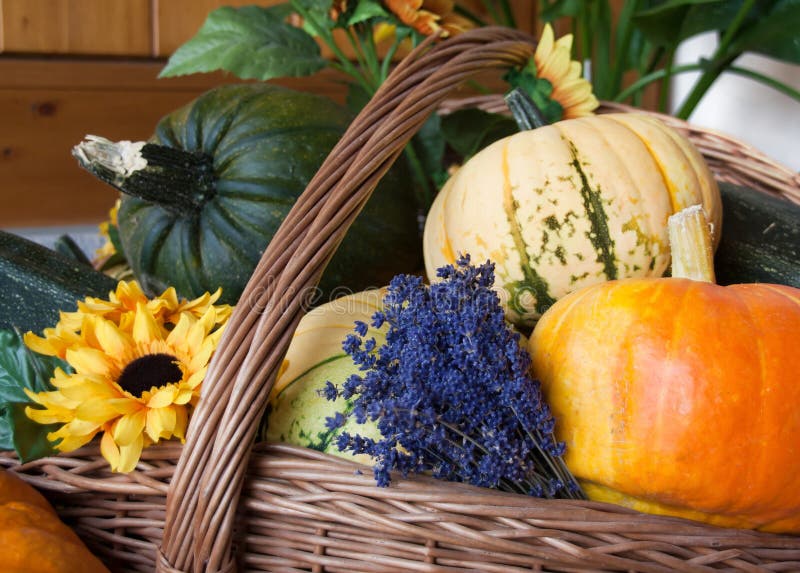 Basket with farm products stock photo. Image of leaves - 26402108