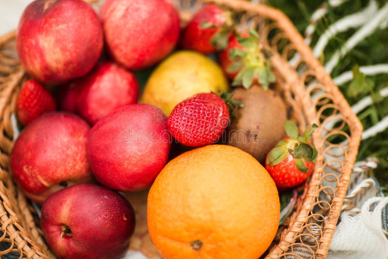 Basket of Fresh Organic Fruits in the Garden Stock Photo - Image of ...