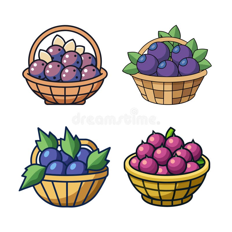 Basket of Fresh Plums and Leaves Vector Illustration Stock Vector ...