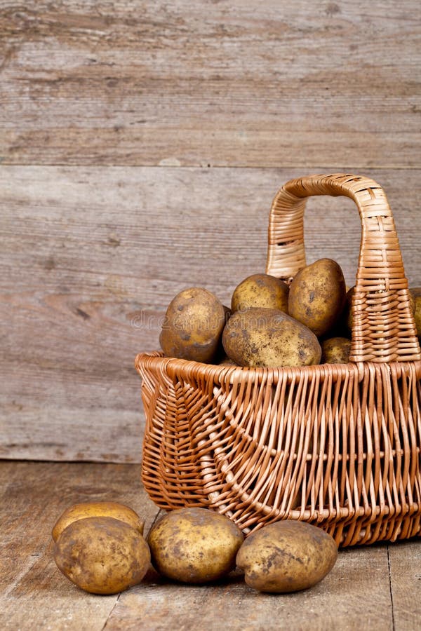 Basket with fresh potatoes stock photo. Image of plant - 29045512