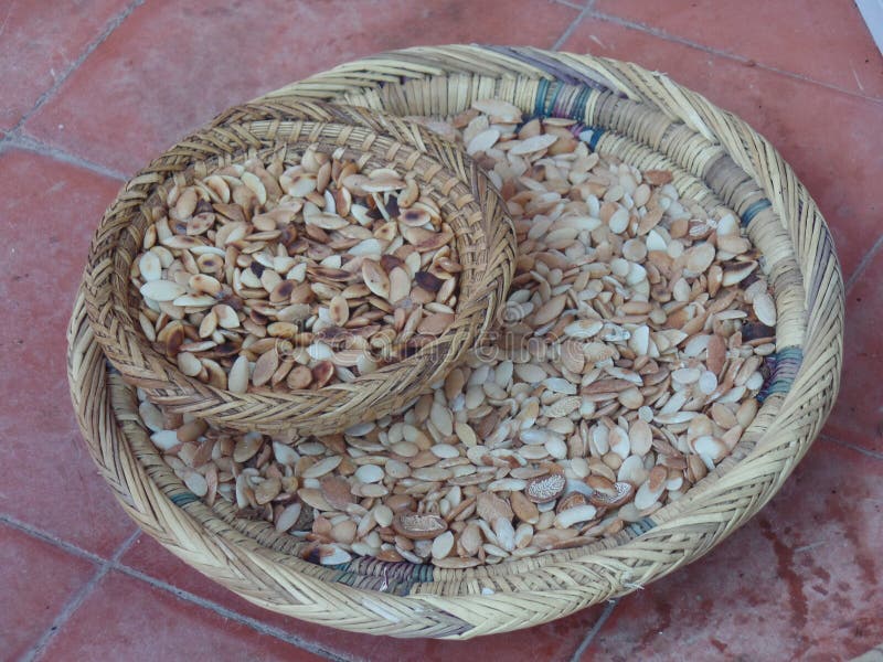 A Basket of Argan Nut Shells Used for the Production of Argan Oil in ...