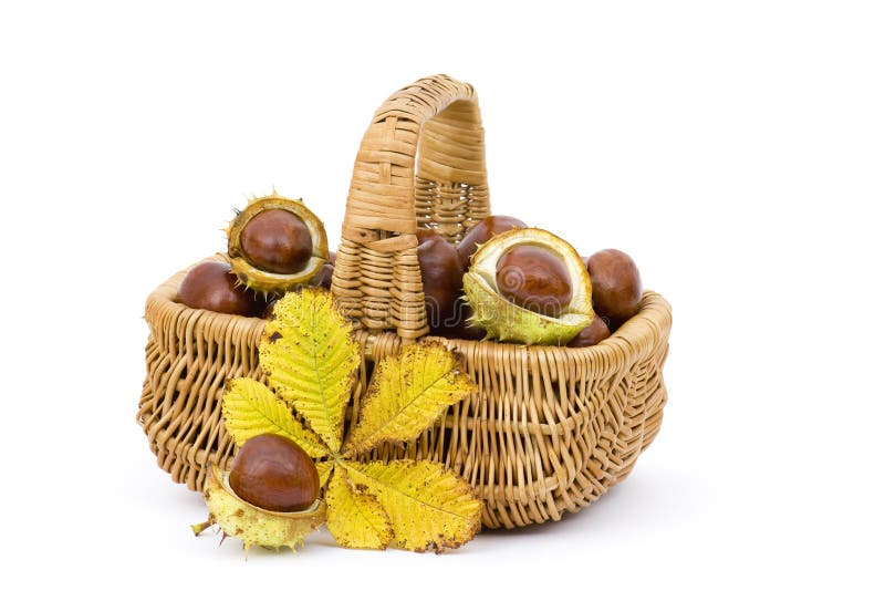 Pumpkin, Chestnuts and Fake Autumn Leaves Stock Photo - Image of fake ...