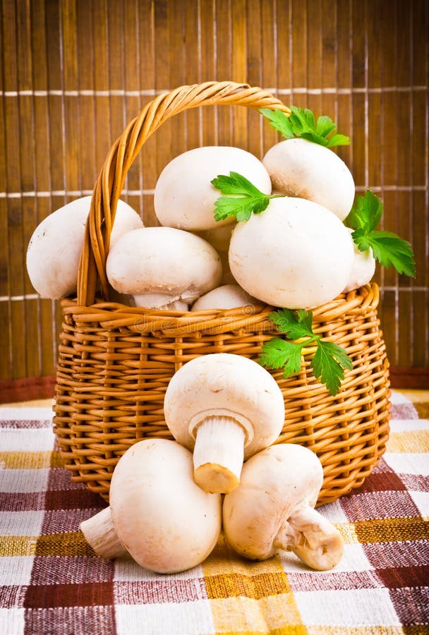 Basket Full of Fresh Champignon Mushrooms Stock Photo - Image of ...