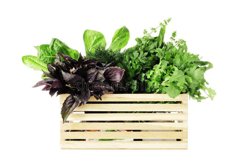 Basket full of fresh herbs stock photo. Image of herbs - 285961376