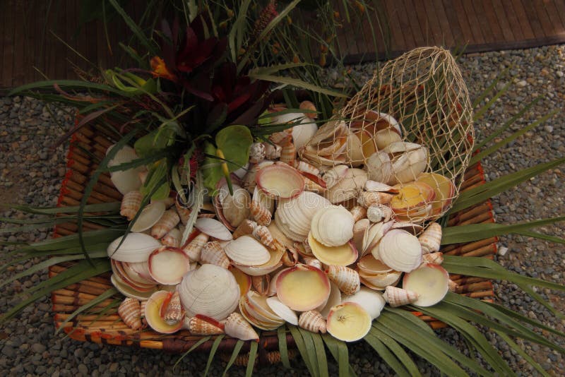 Basket Full of Leaves and Shells Stock Photo - Image of weave, network ...