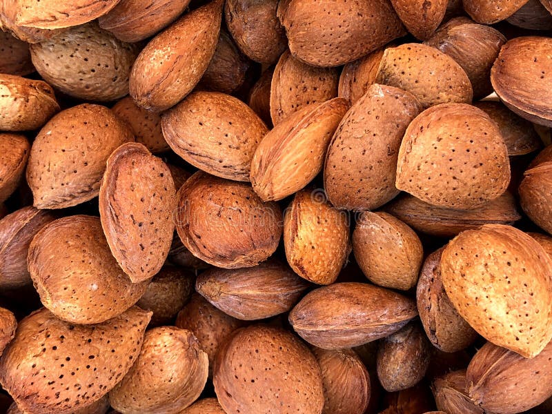 Fresh raw almonds stock photo. Image of closeup, group - 199027308