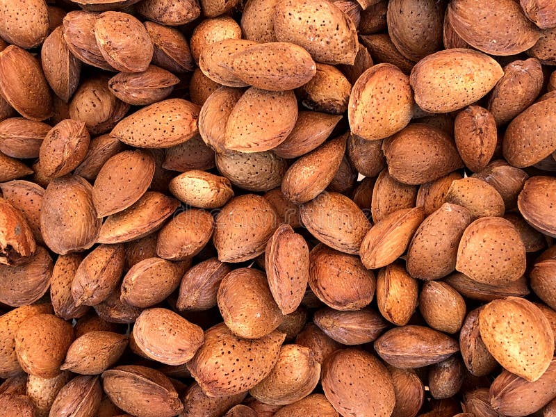 Fresh raw almonds stock photo. Image of group, snack - 199027312