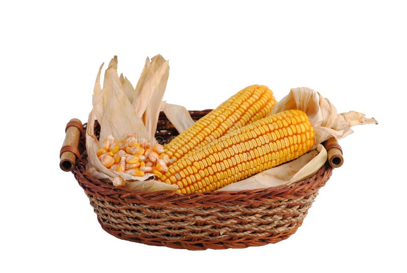 Basket Full of Straw and Corn Cobs Stock Image - Image of yellow ...