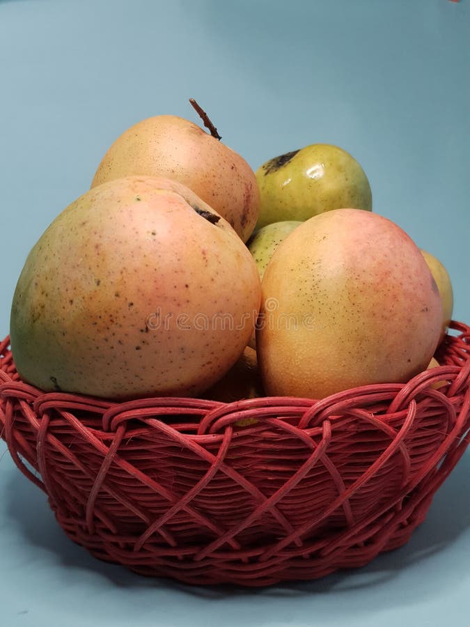 A Basket Full of Sweet Mangoes. Stock Photo - Image of leaf, mangoes ...