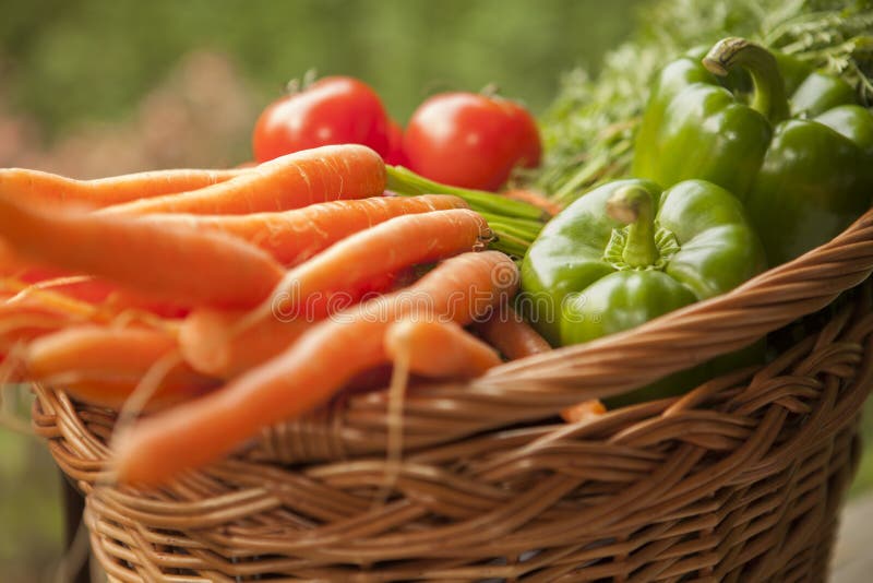 Basket full of vegetables stock image. Image of fresh - 28085709