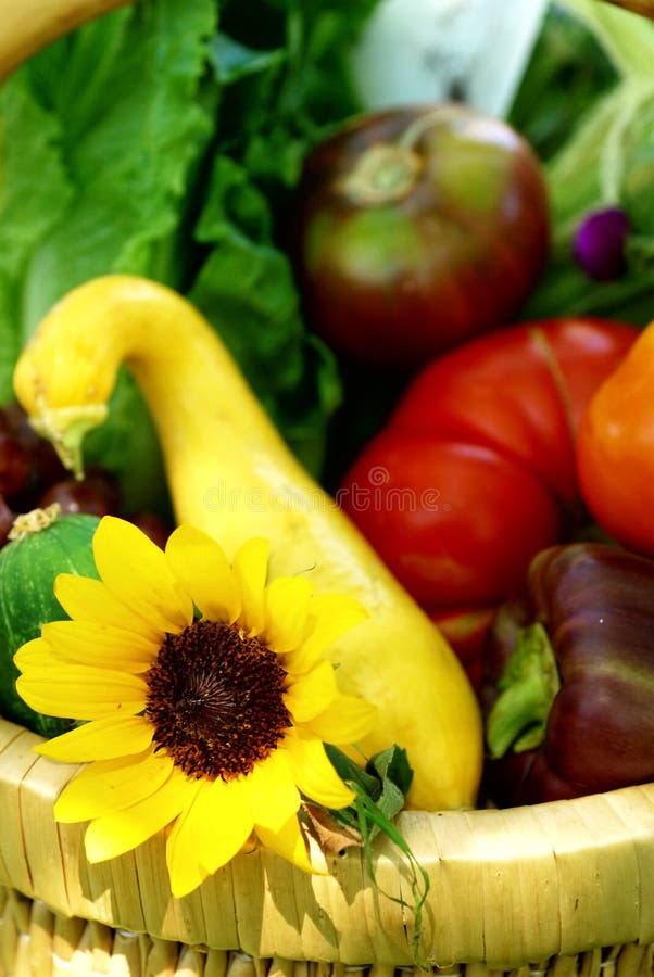 Flower Garden stock image. Image of edging, blue, gardening - 5436779