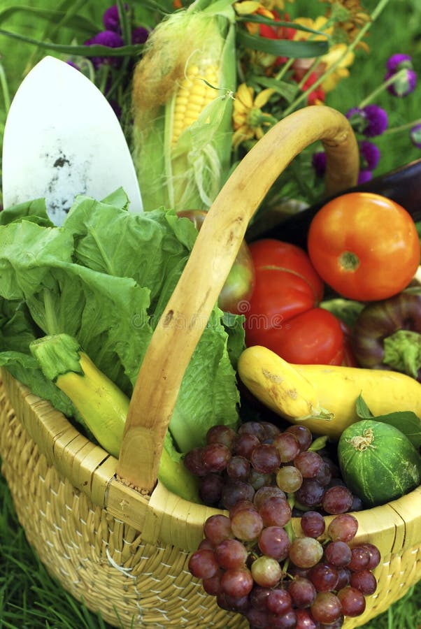 Flower Garden stock image. Image of edging, blue, gardening - 5436779